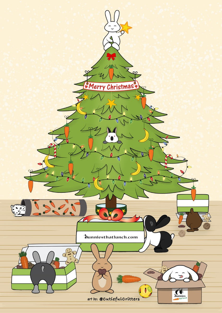 Christmas 2025 – Page 2 – Bunnies That Lunch