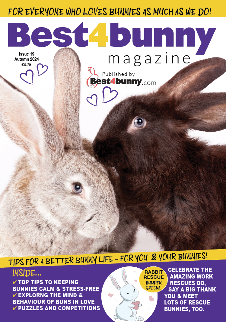 Best4Bunny Magazine -Autumn 2024 (issue 19) – Bunnies That Lunch