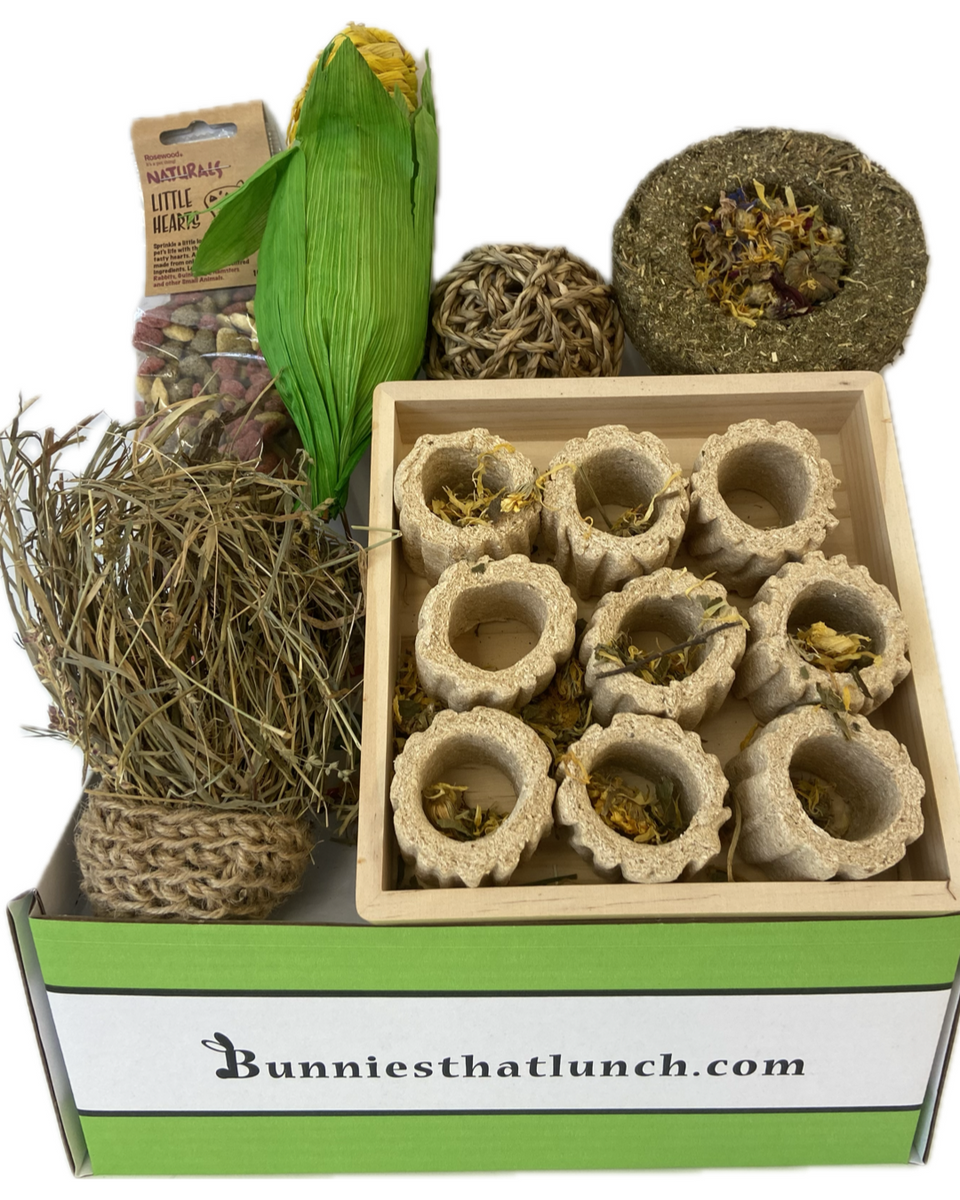 Enrichment Fun Box – Bunnies That Lunch