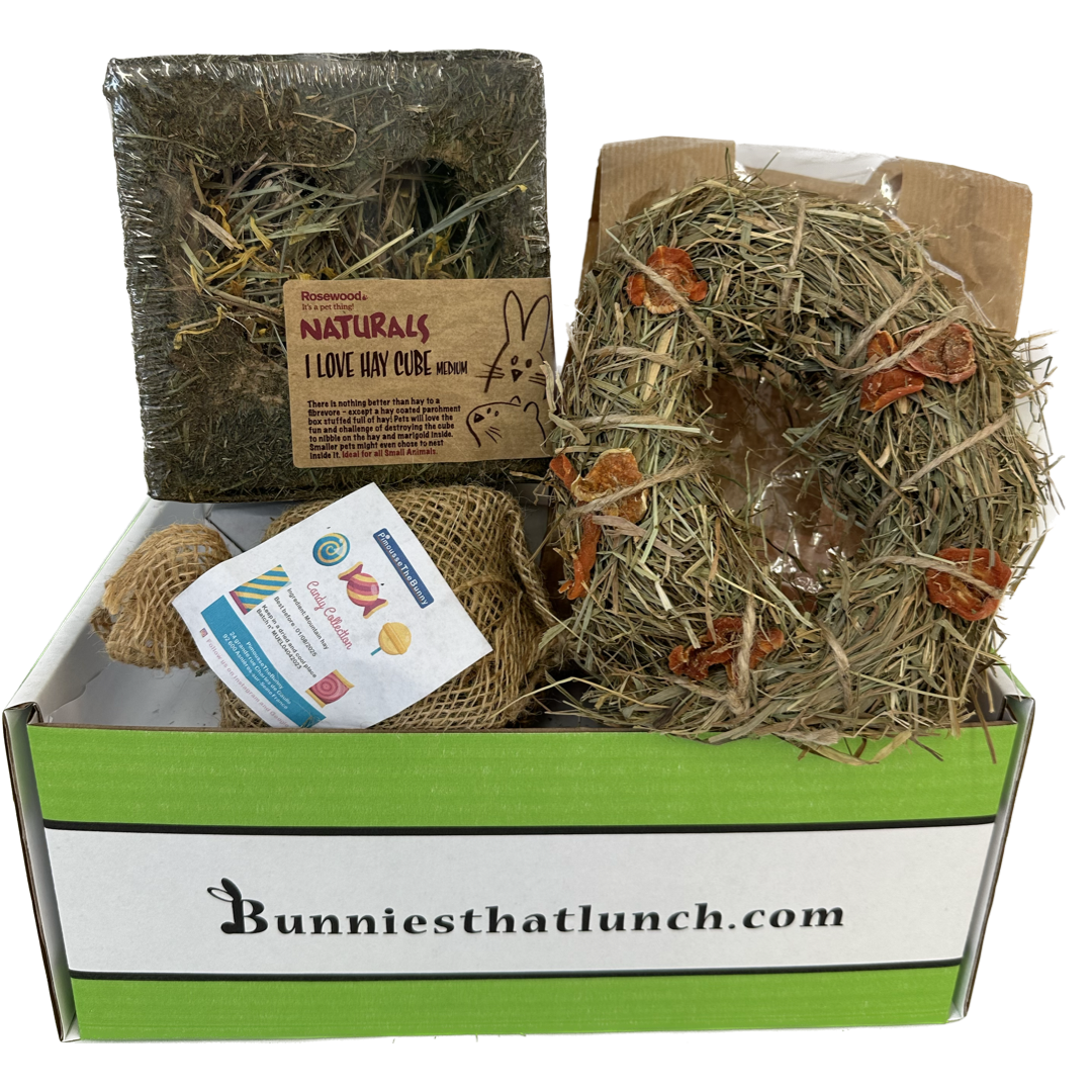 Hay N Play Bundle – Bunnies That Lunch
